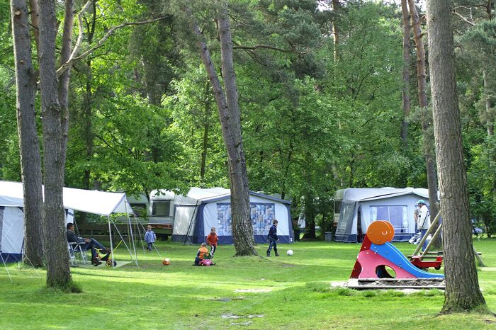 Kamperen op een 5-sterren kindercamping in Brabant ⭐