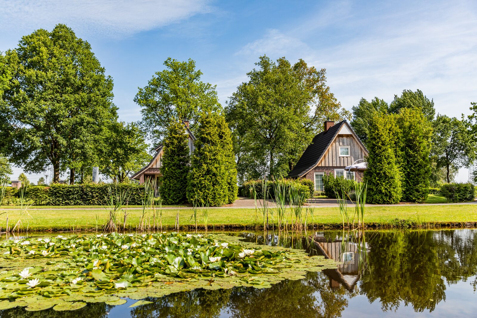 Holiday park on the German border | ⭐⭐⭐⭐⭐ | Hof van Salland