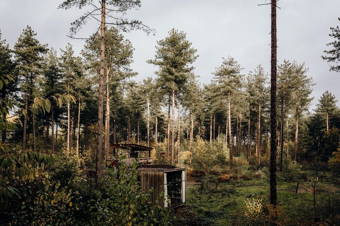 Bijzonder overnachten | Midden in de natuur | Warredal