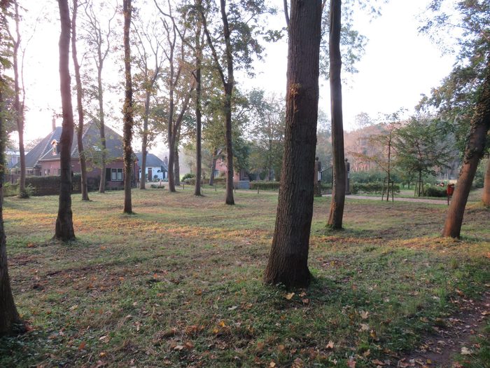 Transitium ZeeVELD
