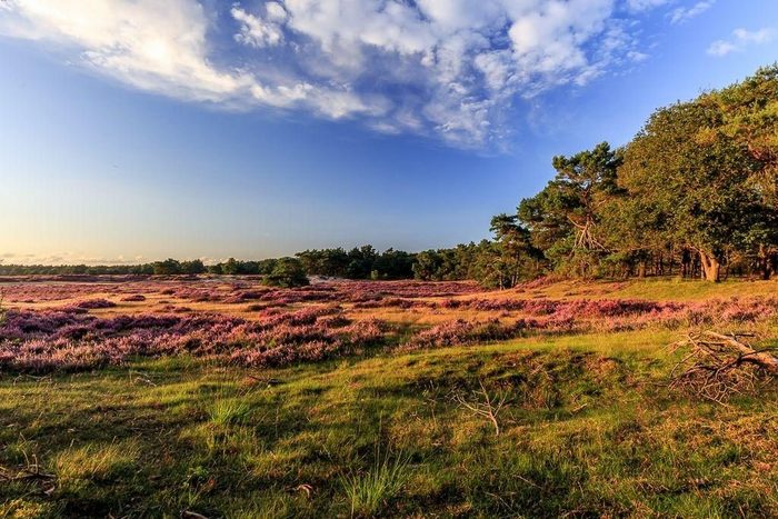 Weet jij hoe de Veluwe is ontstaan? - Bungalowpark Het Verscholen Dorp