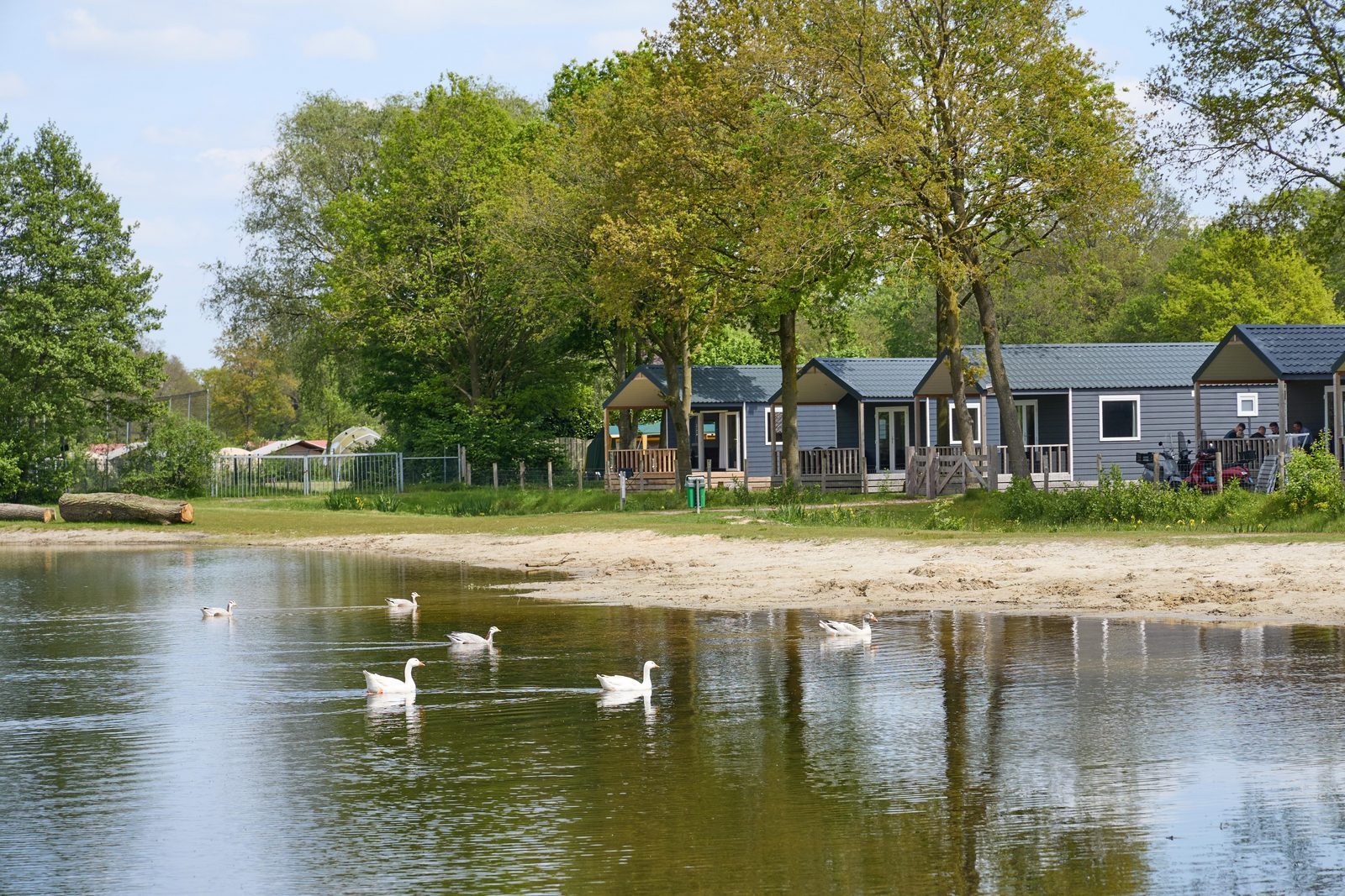 Camping 't Veld | der kleinste 5 Sterne Camping der Niederlande
