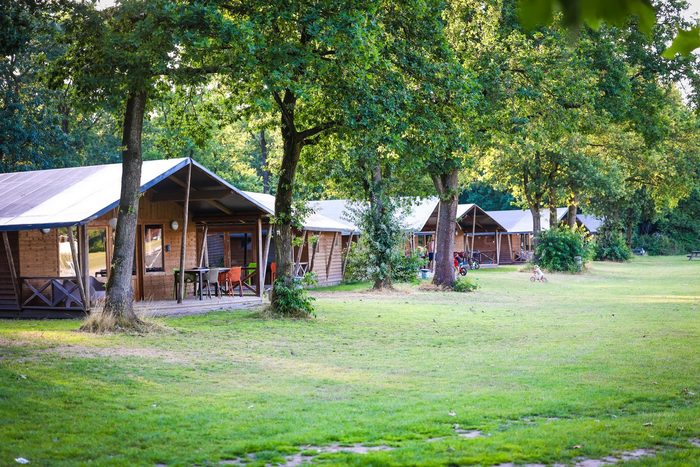 Camping de Paal | 5-star Campsite in the Netherlands