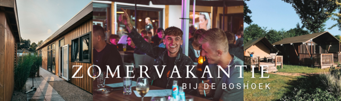 Summer vacations | Veluwe | 5 stars | With swimming pool | De Boshoek